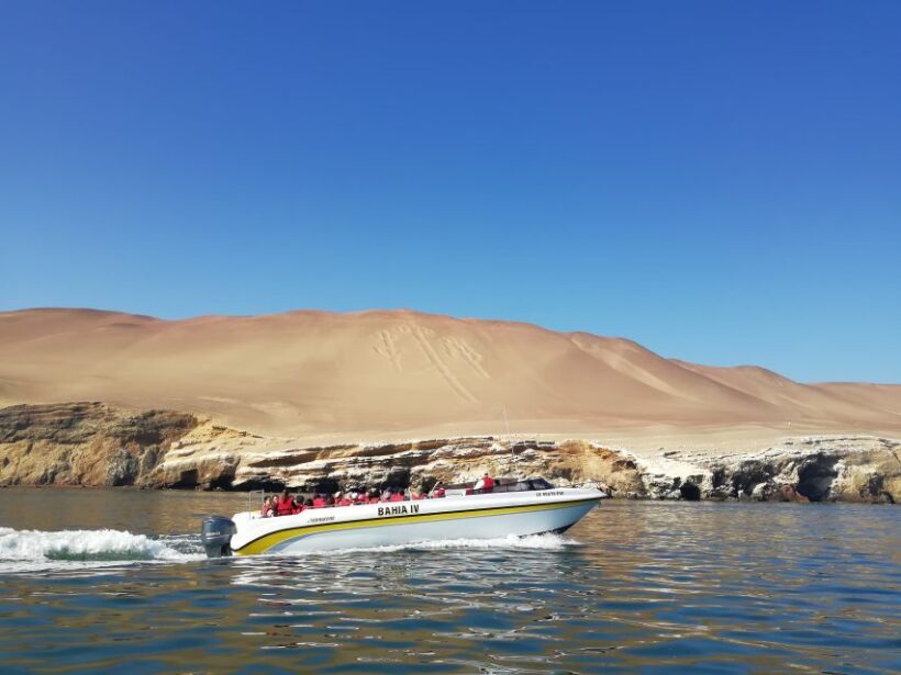 Lima: Ballestas Islands, Winery and Nazca Lines Private Tour - Final Thoughts
