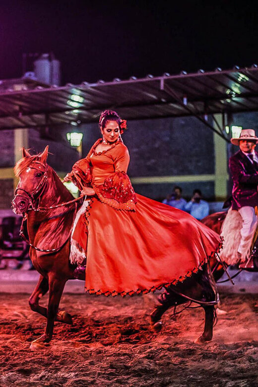 Lima: Buffet Lunch , dance show | Peruvian Paso Horses - Key Points