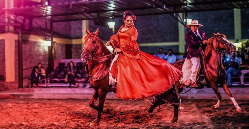 Lima: Buffet Lunch , dance show | Peruvian Paso Horses | - Introducing the Lima Buffet Lunch, Dance Show & Peruvian Paso Horses Experience