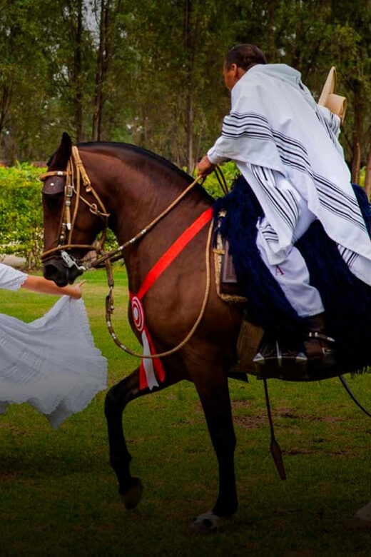 Lima: Buffet Lunch , dance show | Peruvian Paso Horses | - Authentic Experiences and Cultural Insights
