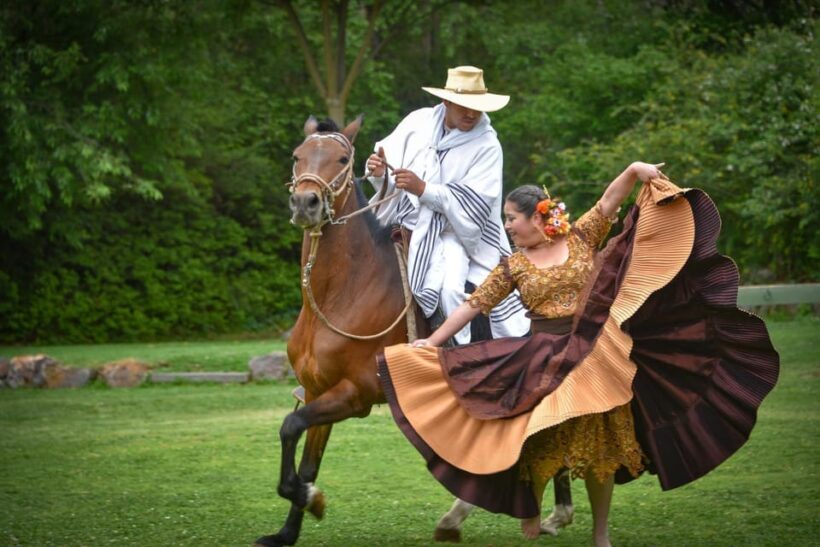 Lima: Buffet Lunch , dance show | Peruvian Paso Horses | - FAQ