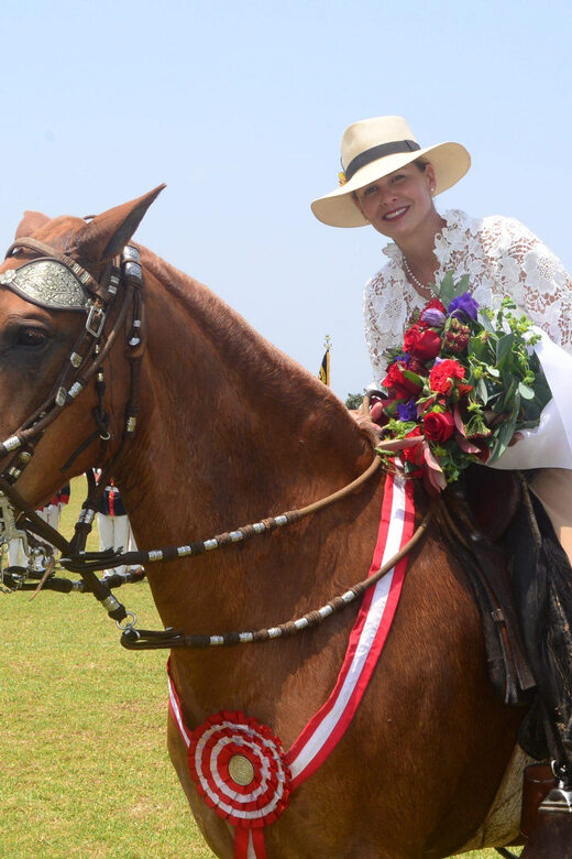Lima: Buffet Lunch, dance show : Peruvian Paso Horses : - An Engaging Introduction to Peruvian Culture