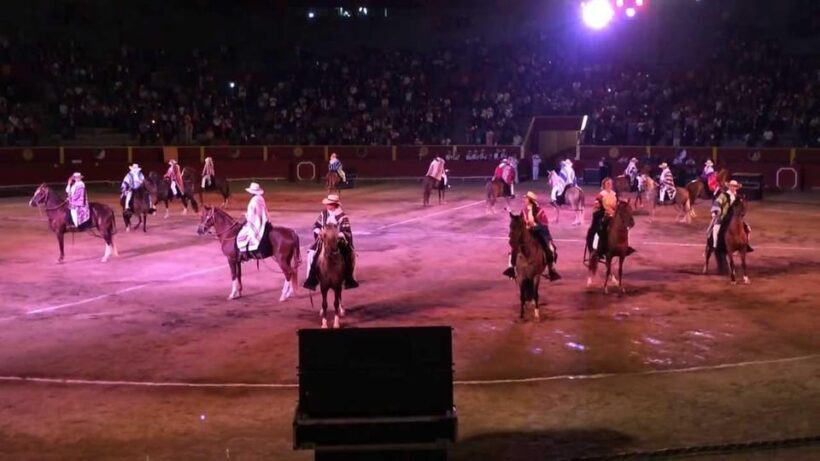 Lima: Buffet Lunch, dance show : Peruvian Paso Horses : - Authentic Experiences & Traveler Feedback