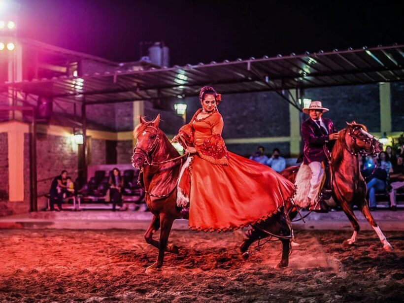 Lima: Buffet Lunch, dance show : Peruvian Paso Horses : - Who Will Love This Tour?