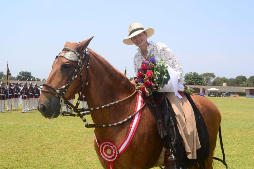 Lima: Buffet Lunch, dance show : Peruvian Paso Horses : - Final Thoughts