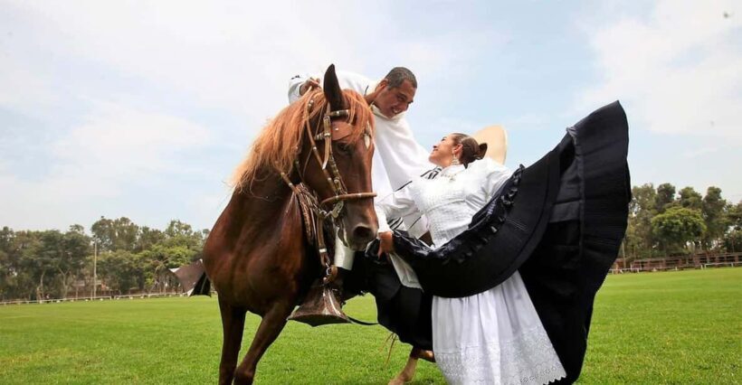 Lima: Buffet Lunch, dance show : Peruvian Paso Horses : - FAQ