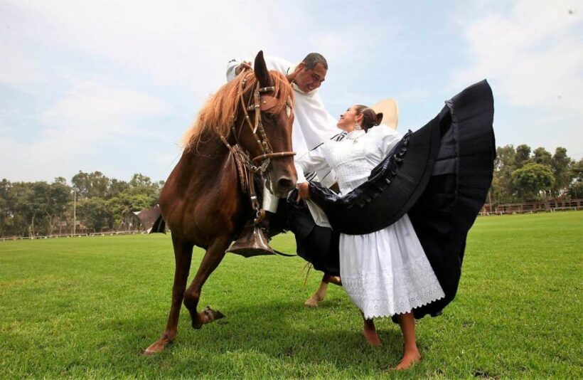 Lima: Buffet Lunch, dance show | Peruvian Paso Horses | - What to Expect from the Tour