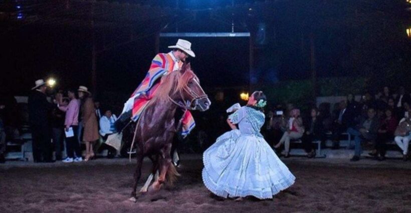 Lima: Buffet Lunch, dance show | Peruvian Paso Horses | - Practical Tips for Making the Most of This Tour