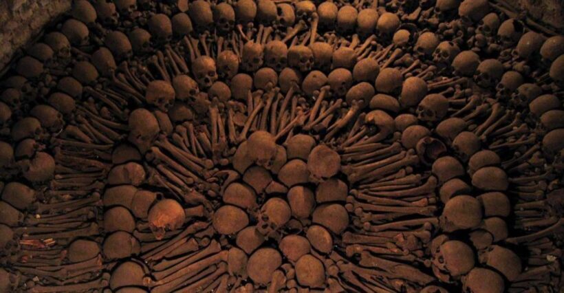 Lima bus tour: Historic Center & Catacombs of Saint Francis - Who Will Love This Tour?