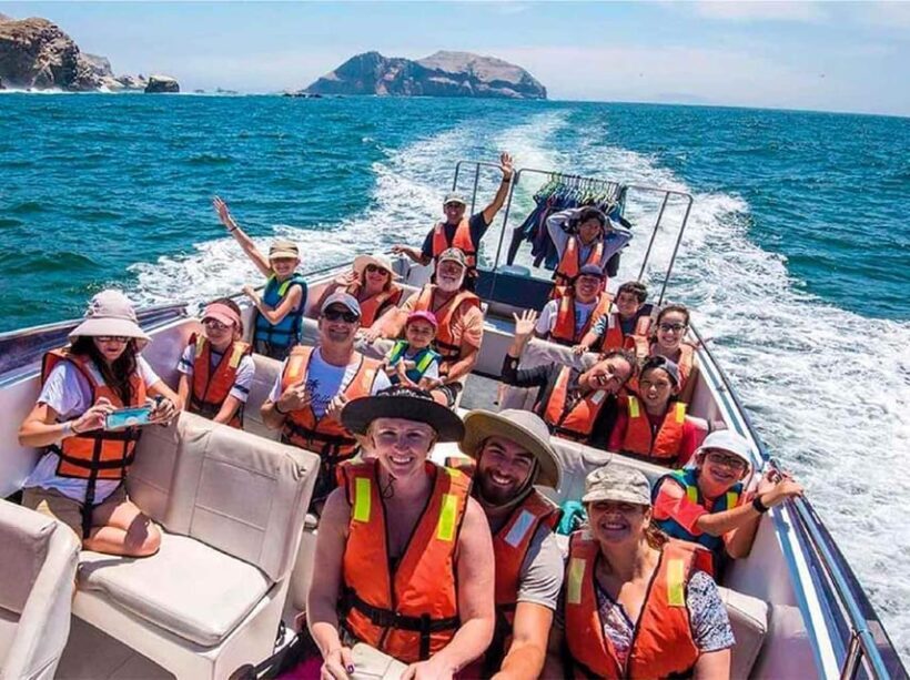 LIMA|| Enjoy an exciting excursion to the Palomino Islands - Is This Tour Worth It? Our Balanced View