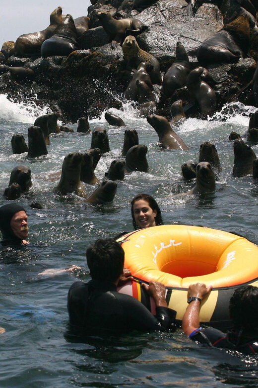 LIMA|| Enjoy an exciting excursion to the Palomino Islands - The Sum Up