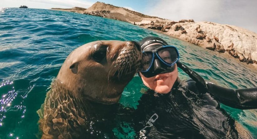 Lima: Excursion to Palomino Island | Entrance, sea lions | - A Closer Look at the Palomino Island Tour