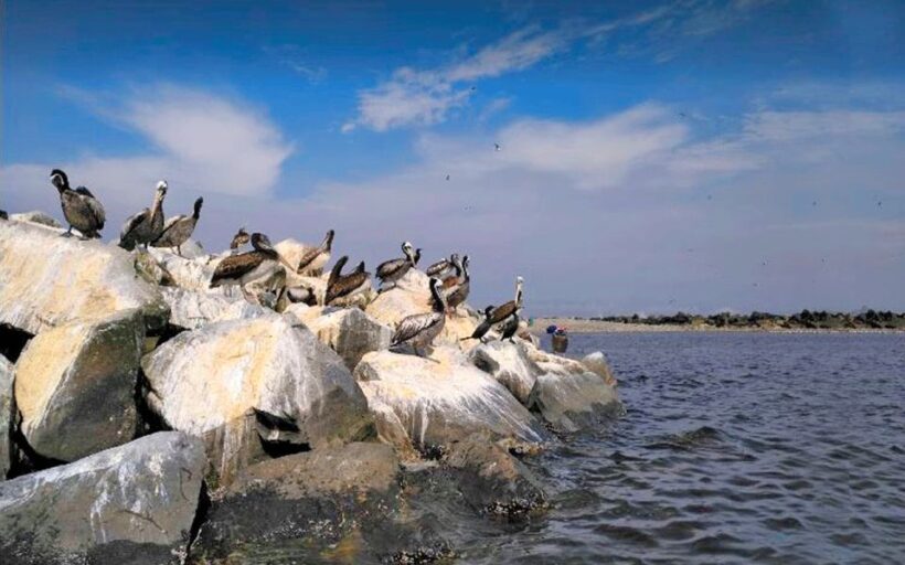 Lima: full day monumental Callao - An In-Depth Look at the Tour Experience