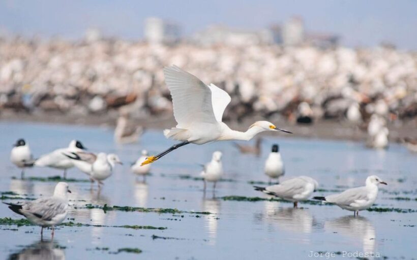 Lima: full day monumental Callao - FAQ