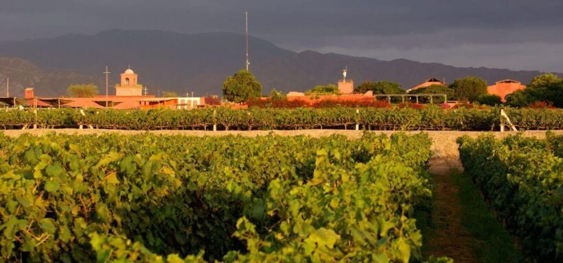 Lima: Full-Day Tour to Paracas, Vineyards and Huacachina - Who Should Consider This Tour?