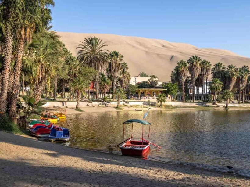 Lima: Full-Day Tour to Paracas, Vineyards and Huacachina - Final Thoughts