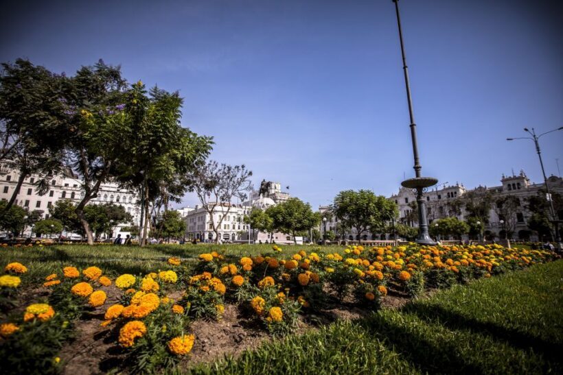 Lima: Half-Day Private Panoramic Tour of Lima - A Closer Look at the Itinerary