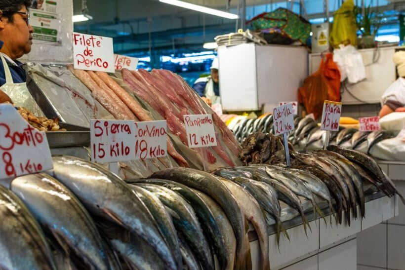 Lima: Historic Center Street Food, Market, and Eateries Tour - Discovering Lima’s Architectural Gems and Historic Heart