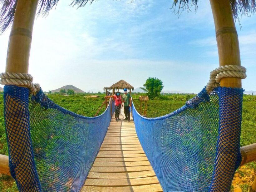 Lima: Huaral and visit to the Castle of Chancay - Who Should Consider This Tour?