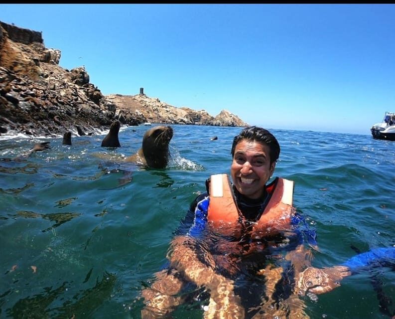 Lima : Islas Palomino - Swim with the Sea Lions - The Practicalities and Value