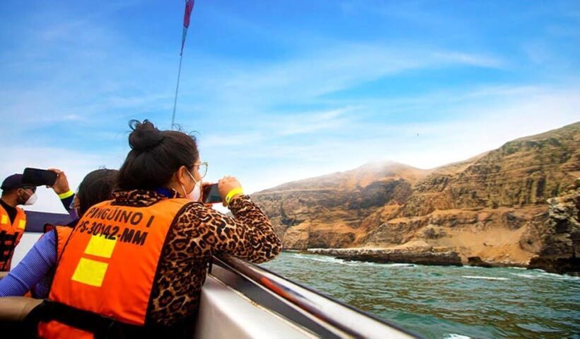 Lima : Islas Palomino - Swim with the Sea Lions - Who Should Consider This Tour?