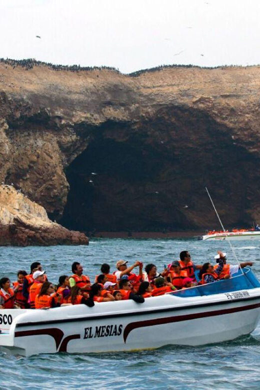 Lima : Islas Palomino - Swim with the Sea Lions - Frequently Asked Questions