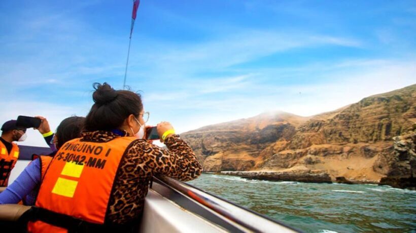 Lima | Islas Palomino Tour | Swim with Sea Lions - FAQ