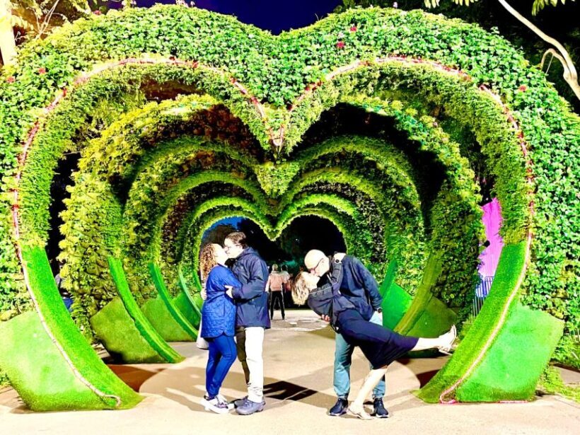 Lima: Magic Water Circuit Light Show Tour with Pickup - Key Points