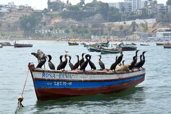 Lima Off the Beaten Path: Local Communities and Cultural Immersion - Visiting Morro Solar and the Second-Largest Cemetery