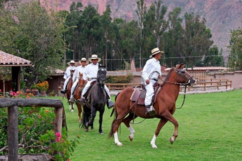 Lima: Pachacamac Tour and Peruvian Paso Horse Exhibition - Practical Details and Value