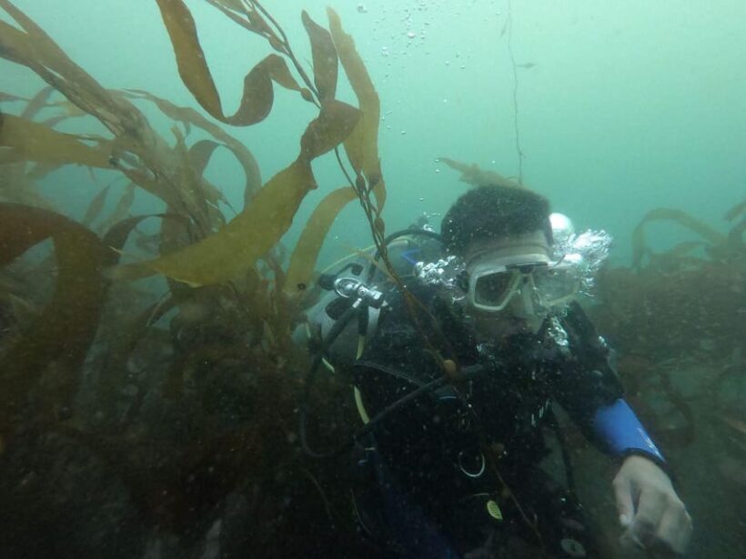 Lima: PADI Open Water Diver- Diving Course - The Experience at a Glance