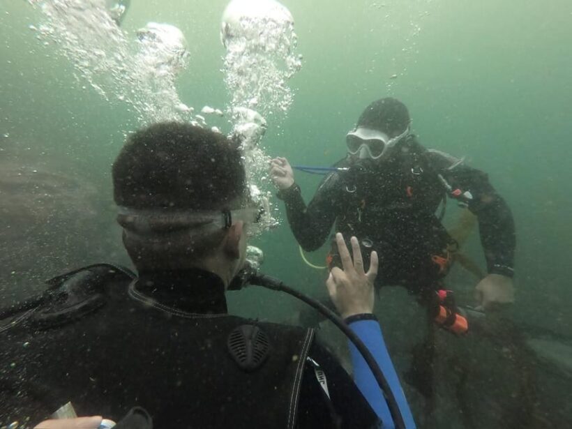 Lima: PADI Open Water Diver- Diving Course - Final Thoughts