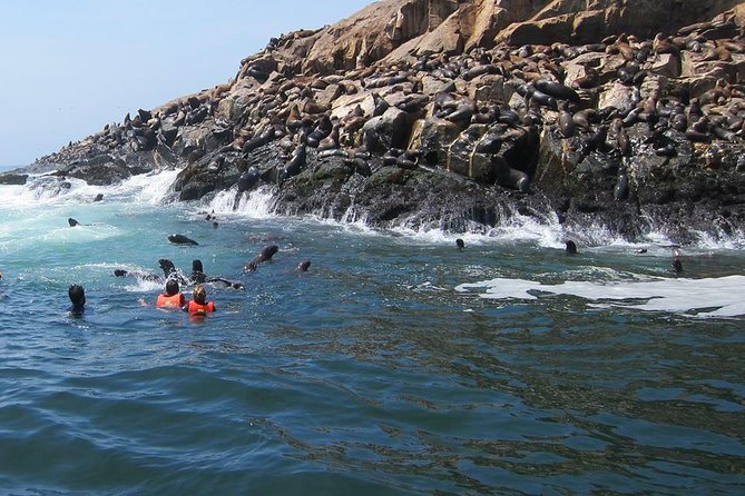 Lima: Palomino Islands Excursion & Swimming With Sea Lions With Hotel Transfers - Inclusions and Logistics