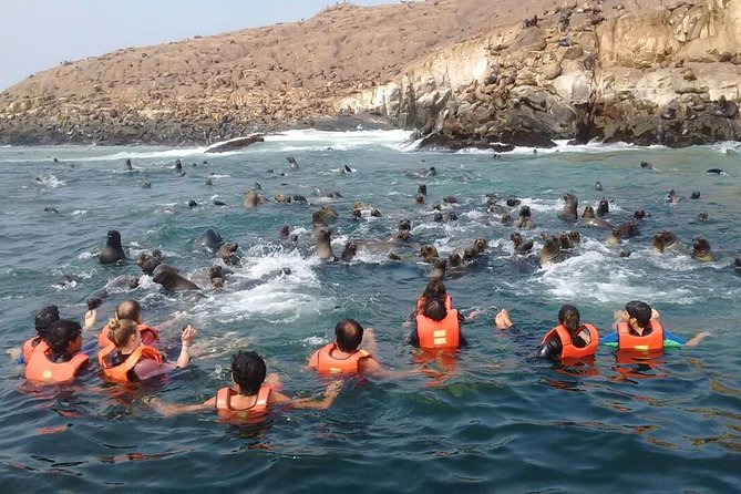Lima: Palomino Islands Excursion & Swimming With Sea Lions With Hotel Transfers - What to Expect During the Excursion