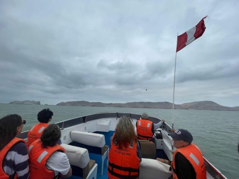 Lima: Palomino Islands Speedboat Tour & Swim with Sea Lions - The Sum Up