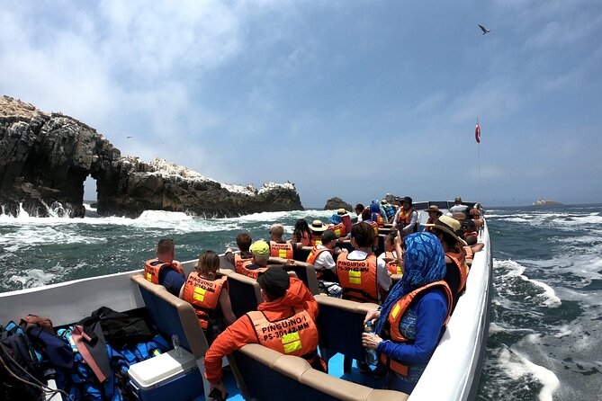 Lima Peru Sea Lions, History and Palomino Callao Islands - Practical Tips for the Tour