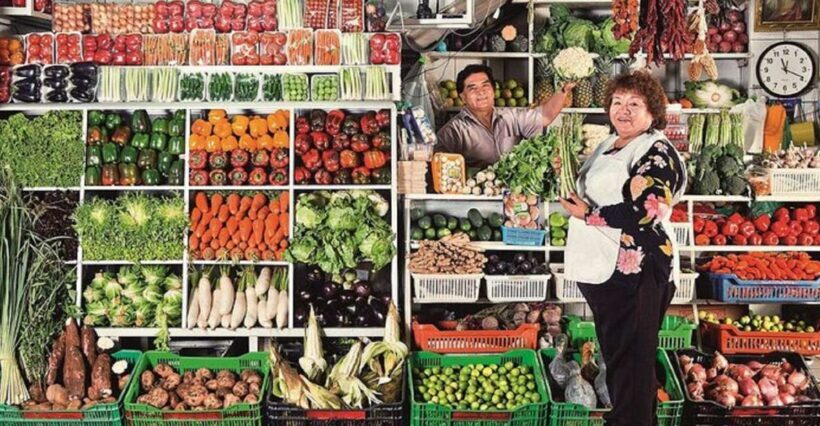 Lima: Private Culinary Tour and Larco Museum - Exploring Lima’s Culinary and Cultural Heartbeat