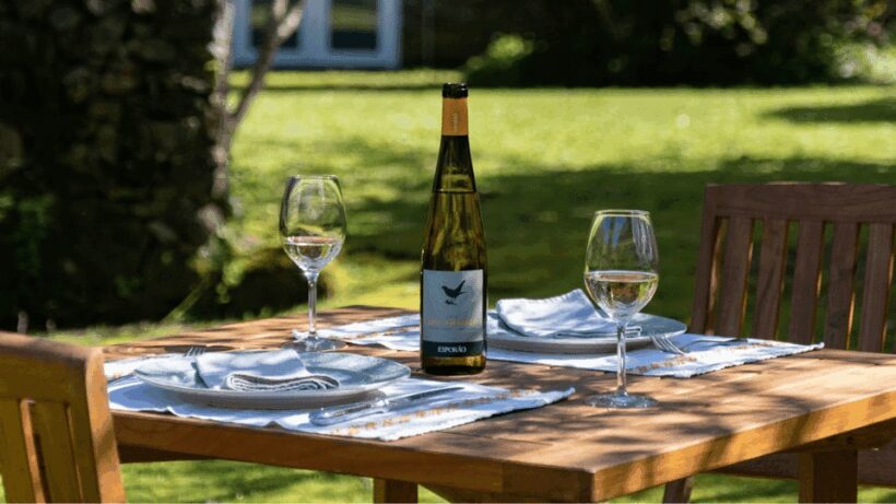 Lima Valley Tour with Wine Tasting and Local Gastronomy - Who Should Consider This Tour?