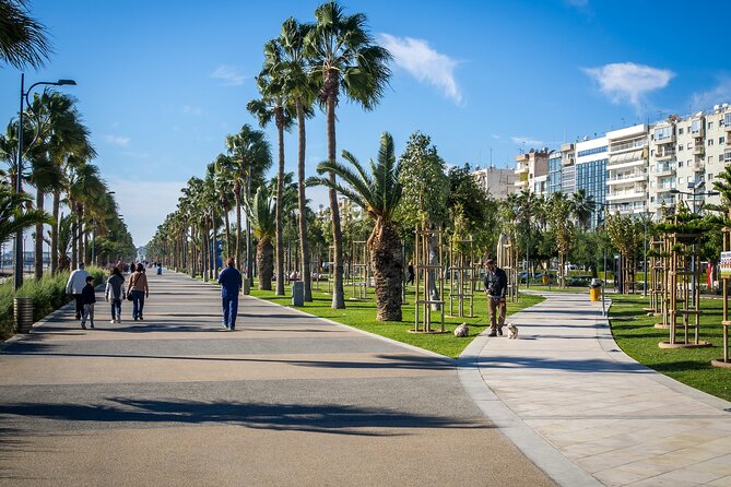 Limassol Like a Local: Customized Private Tour - Why It’s a Good Choice: Who Will Love This Tour?