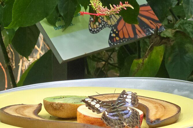 Lincoln Park Nature Museum & Zoo Private Walking Tour - Exploring the Lincoln Park Conservatory