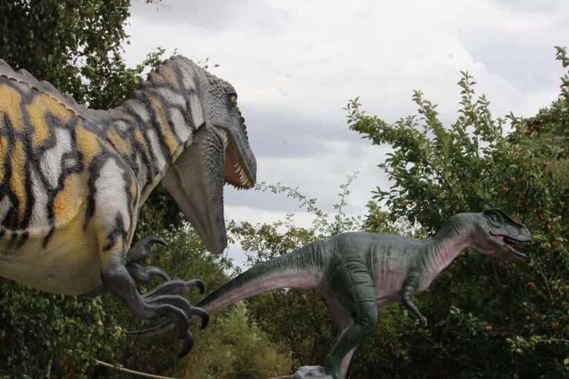 Lincolnshire: ARK Wildlife and Dinosaur Park Entry Ticket - FAQs