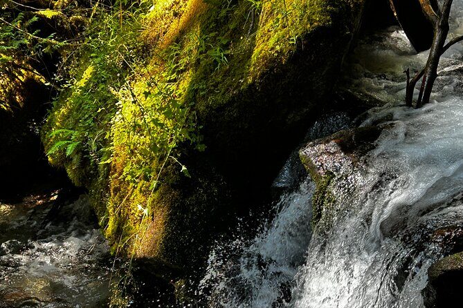 Lindeman and Chilliwack Lakes Sightseeing Tour - The Sum Up