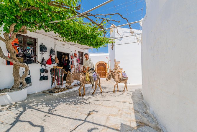 Lindos by Express MiniBus (Small Group) - Scenic Journey Through Traditional Greek Landscapes