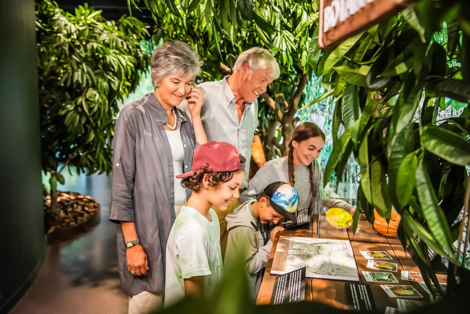 Lindt Home of Chocolate Museum Entry Ticket - Accessibility and Visitor Guidelines