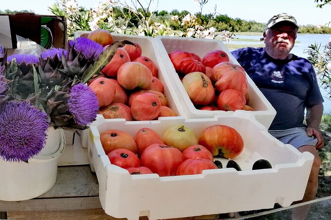 Lio Piccolo: Flamingos & Birdwatching Bike Tour in the Lagoon - The Value for Your Money