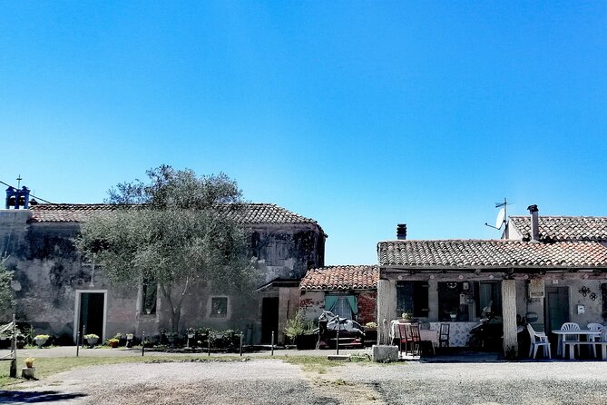 Lio Piccolo: Flamingos & Birdwatching Bike Tour in the Lagoon - Who Should Consider This Tour?