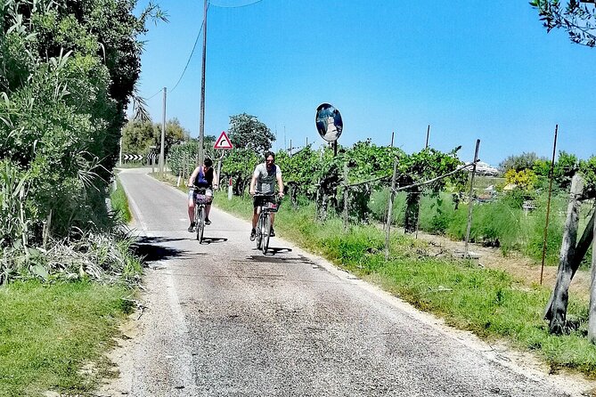 Lio Piccolo: Flamingos & Birdwatching Bike Tour in the Lagoon - The Sum Up