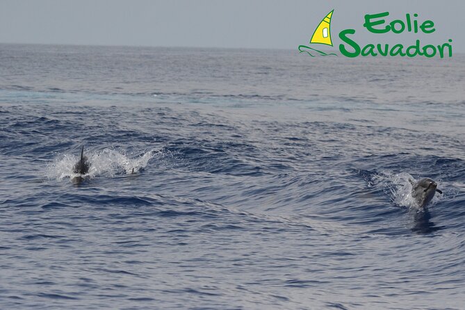 Lipari - Panarea - Stromboli Night Cruise Review - Booking and Cancellation Policy