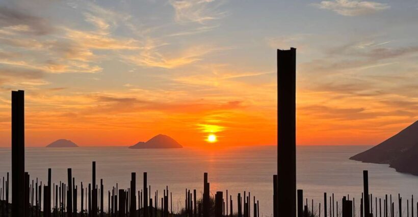 LIPARI WINERY - PIC NIC IN THE VINEYARD - Key Points