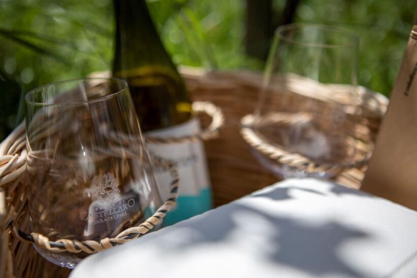 LIPARI WINERY - PIC NIC IN THE VINEYARD - A Scenic Walk into Sicily’s Vineyard Culture